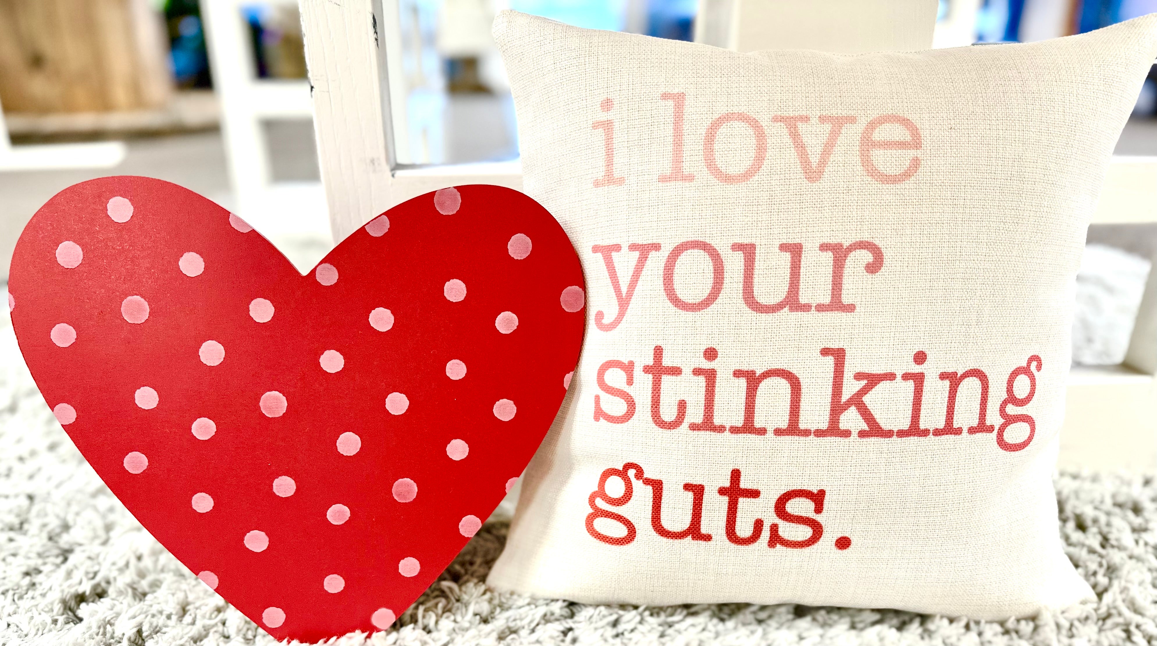 "I love your stinking guts" Pillow – Make it Personal MM